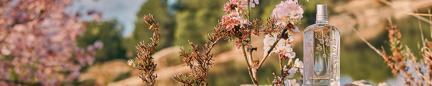 Fleurs de Cerisier Visite en Provence – tagged "Kolekcija_Češnjev cvet ...